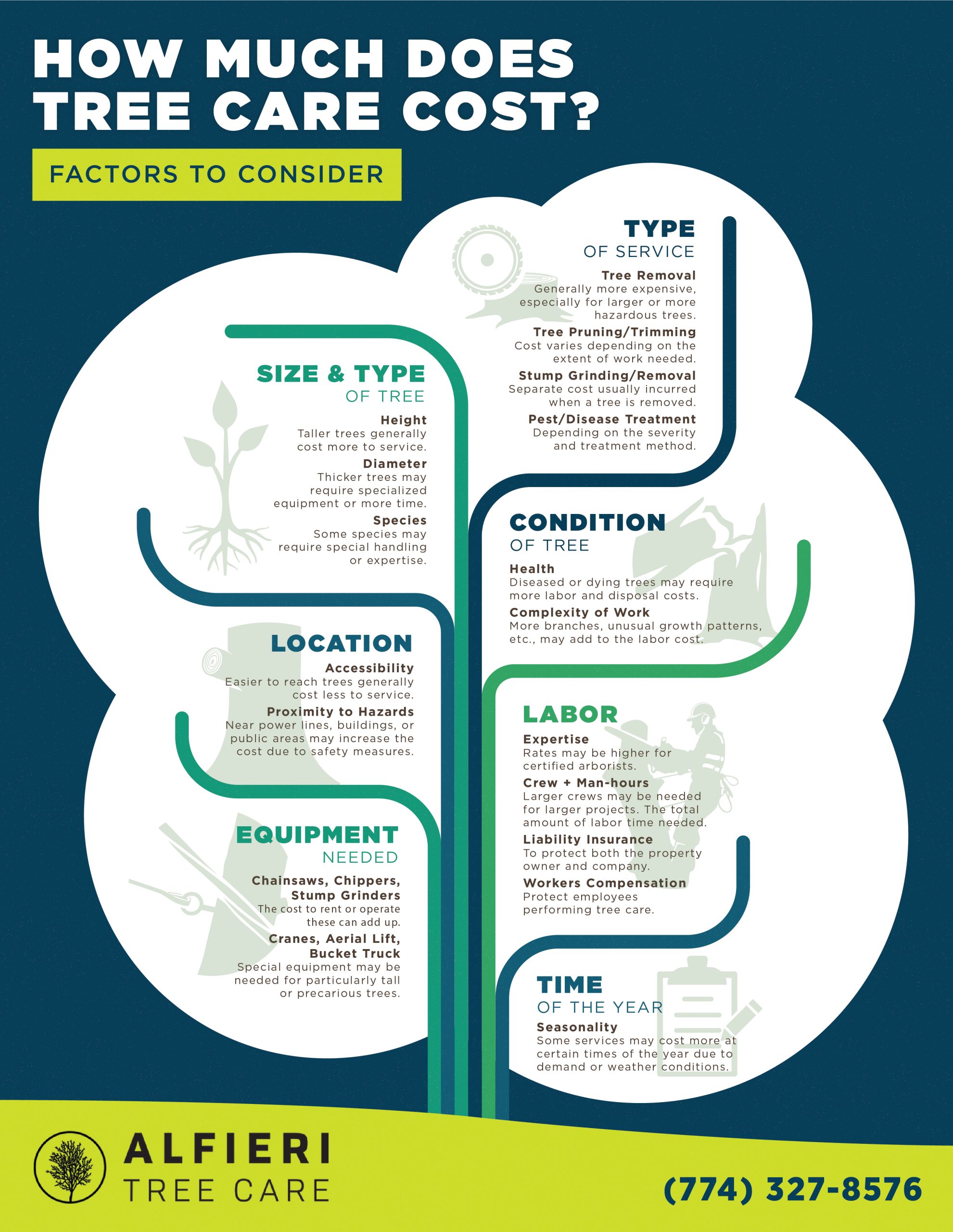 How Much Does Tree Care Cost? | Alfieri Tree Care